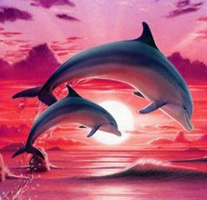 Delfin Paar Malerei Kit – All Diamond Painting